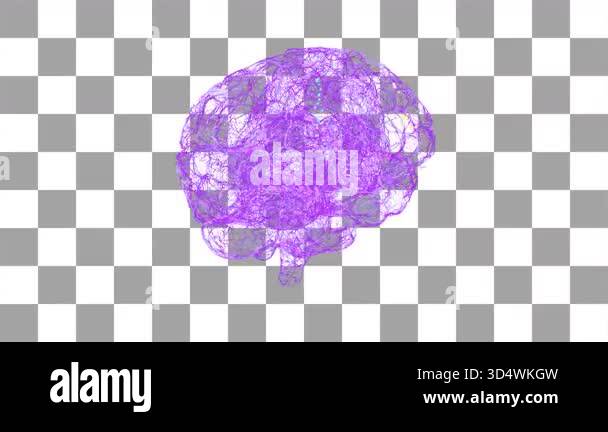 Animation of a human brain showing the corpus callosum interhemispheric ...