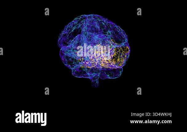 Animation of a human brain with the bilateral occipital lobes ...
