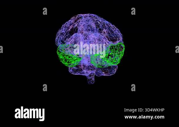 Visual signalling Stock Videos & Footage - HD and 4K Video Clips - Alamy