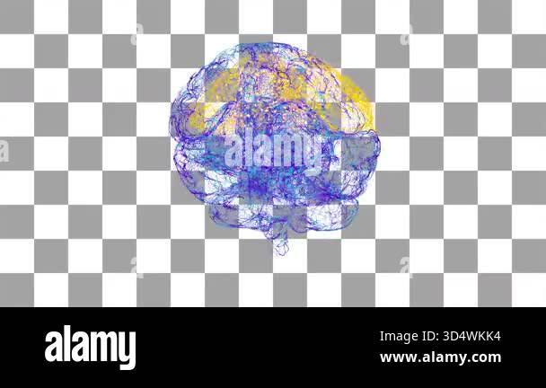 Animation of a human brain with the parietal lobes highlighted. The ...