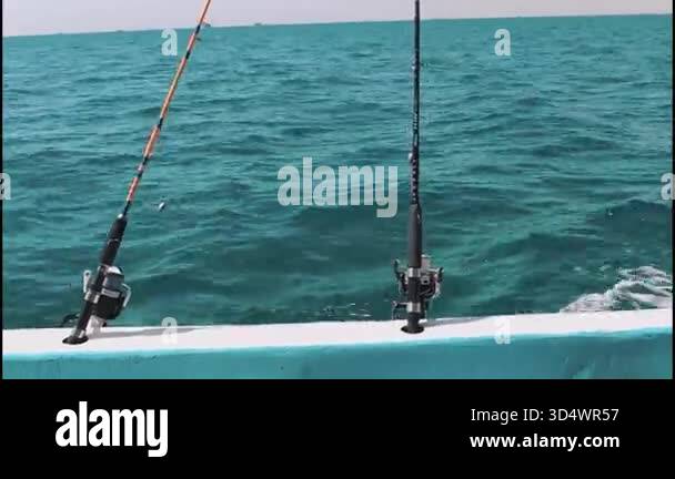 View from the side of a moving boat with two fishing rods trolling The ...