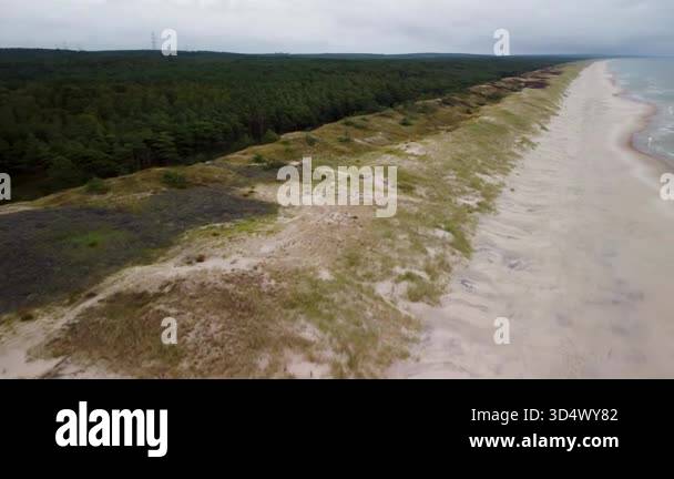 aerial view of untouched coastline with dunes, forest, and gentle waves ...