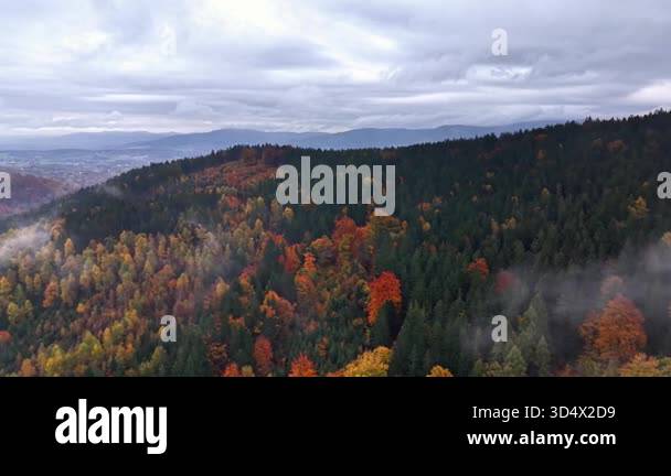 Autumn valley from above, Aerial perspective highlighting vivid autumn ...