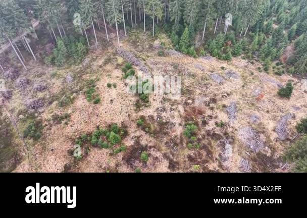 Rocky forest clearing scattered trees Stock Videos & Footage - HD and ...