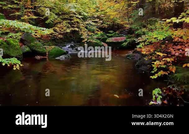 Serene waters mirroring mosscovered stones, Gentle rippling water over ...