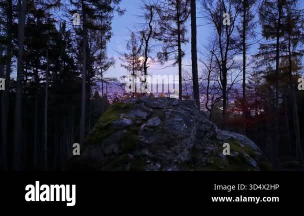 Serene nature scenery, Peaceful woodland scene at sunset, Tranquil ...