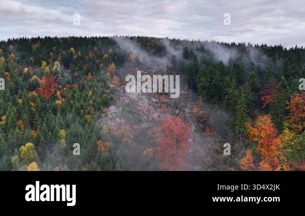 Cinematographer documents atmospheric foggy forest scene featuring ...
