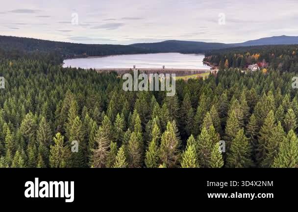 calm lake with forest surroundings, scenic aerial perspective featuring ...