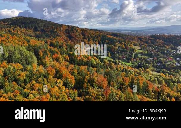 Fall hillside neighborhood seasonal trees Stock Videos & Footage - HD ...