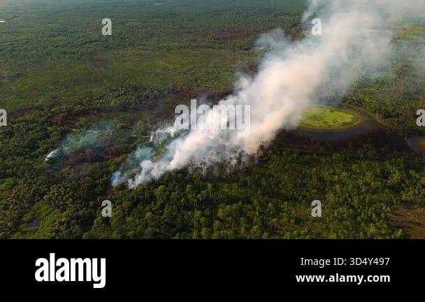 Wildfire outbreak devastates Florida forest, filling the air with smoke ...