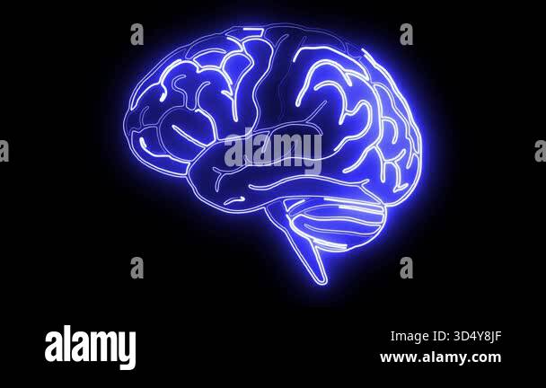 Human brain symbol with glowing blue neon light path effect on plain ...