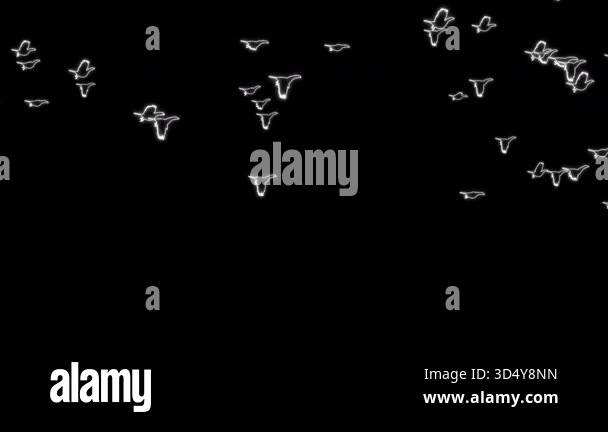 Flying birds with white neon light effect on plain black background ...