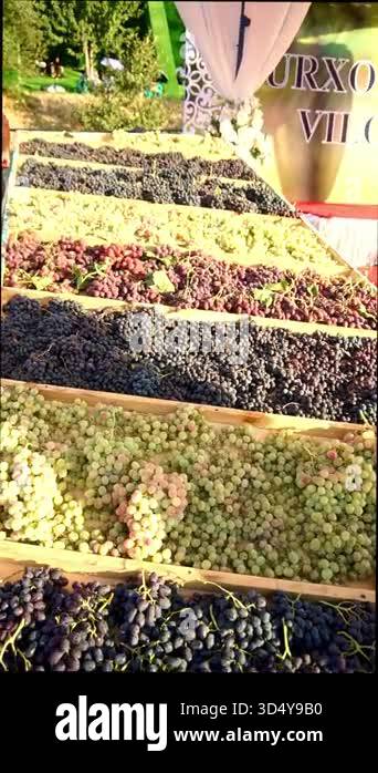 Grapes and various fruits at the fair Stock Video Footage - Alamy
