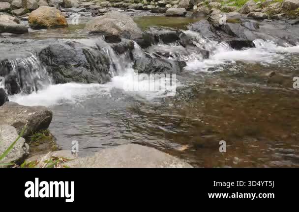 A continuous loop of clear mountain stream water flowing over brown and ...