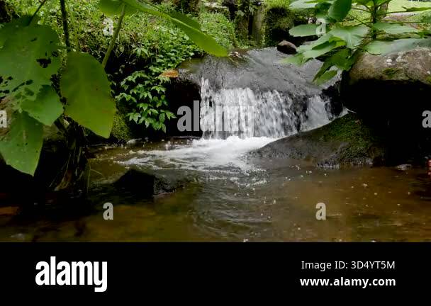 4K horizontal loop footage of a gentle mountain waterfall flowing ...