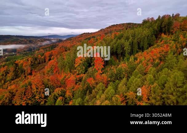Colorful hillside aerial perspective slope Stock Videos & Footage - HD ...