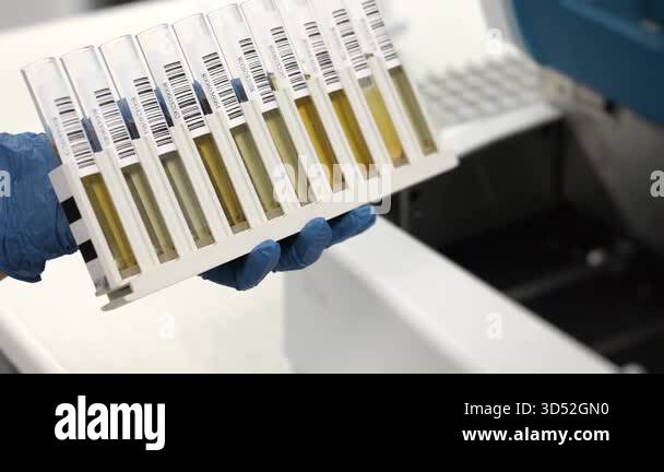 Close up of laboratory worker holding rack with barcoded test tubes ...