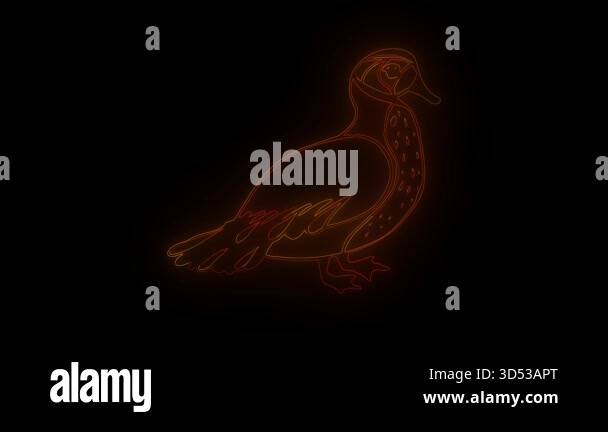 Stylized neon outline of a duck in profile against a dark background ...