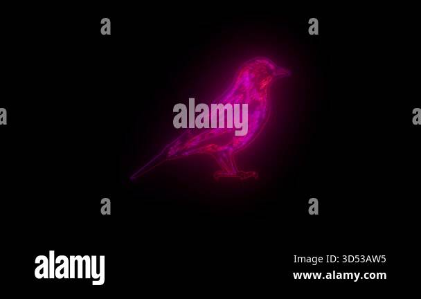 Vibrant neon outline of a bird in flight against a dark background with ...