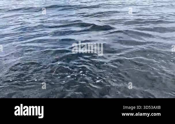 Slow-motion video of rippling water waves trailing behind a moving boat ...