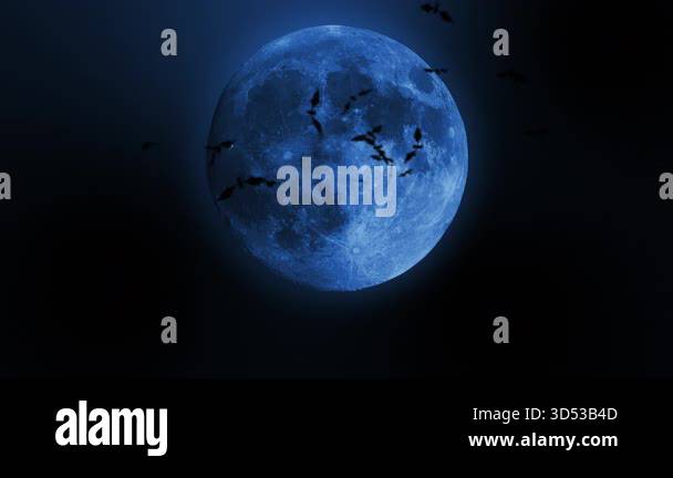 Bats Flying Across Glowing Blue Full Moon at Night Cinematic Horror ...