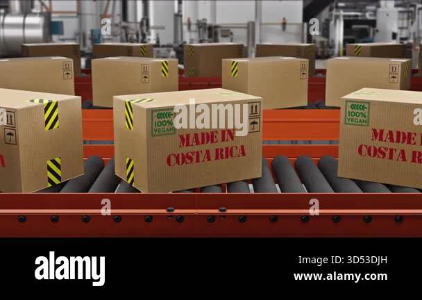 Vegan Food Cargo Boxes MADE IN COSTA RICA Text on Roller Conveyor Stock ...