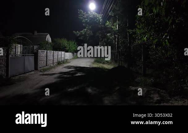 dim street lamp. night road and lamp. gloomy night path. shadows on the ...