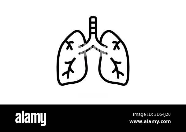Get this trendy outline animated icon showing human lungs respiratory ...