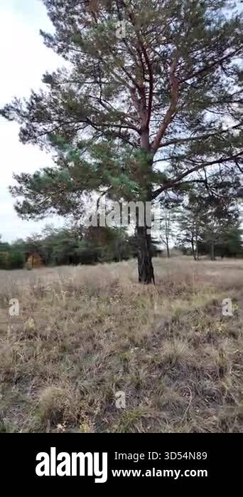 Landscape with a very cloudy sky. Weather before a storm. Sky before ...