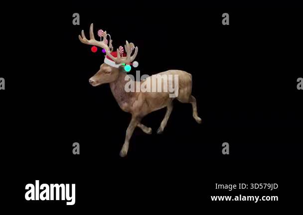 Santa's Reindeer Fast Walk View Top Angle Front Stock Video Footage - Alamy