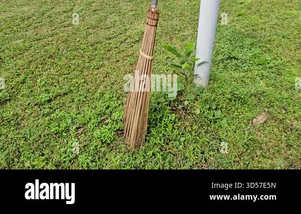 Sapu lidi,Coconut leaves stick broom in the garden,made from coconut ...