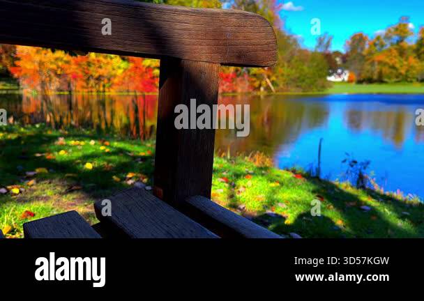 Scene shows wooden bench Stock Videos & Footage - HD and 4K Video Clips ...