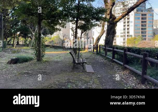 Tokyo Kitanomaru Park Early morning November 2024 Stock Video Footage ...