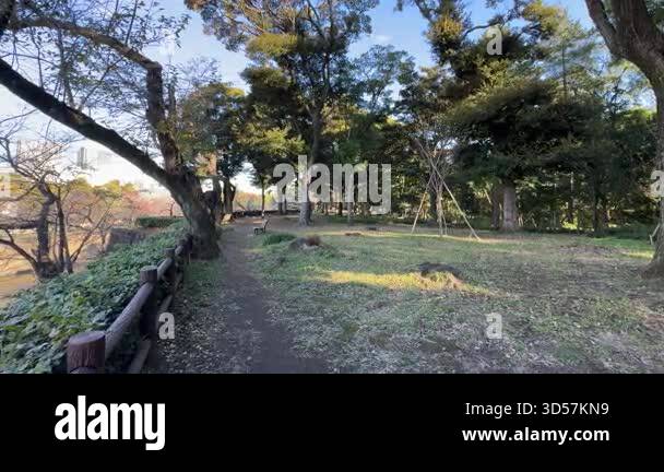 Tokyo Kitanomaru Park Early morning November 2024 Stock Video Footage ...