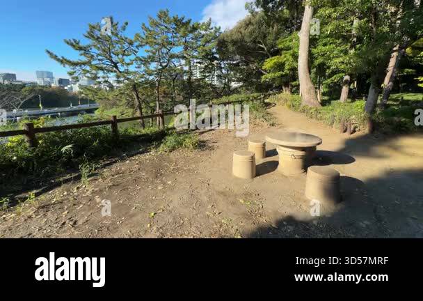 Tokyo Kitanomaru Park Early morning November 2024 Stock Video Footage ...