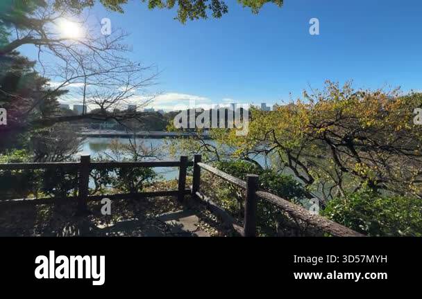 Tokyo Kitanomaru Park Early morning November 2024 Stock Video Footage ...