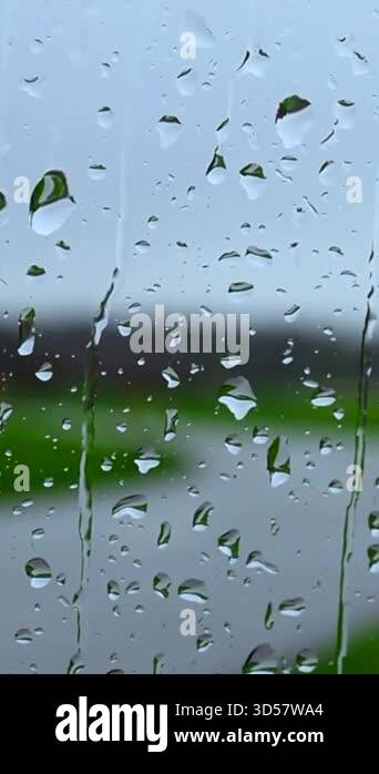 Raindrops collect on a window, creating a soothing view of a green ...