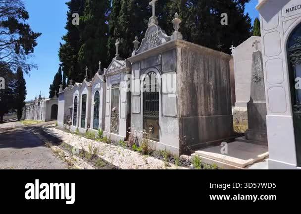 Scenic cemetery walk moss covered Stock Videos & Footage - HD and 4K ...