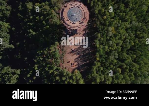 Aerial top view of circular observation tower surrounded by dense ...