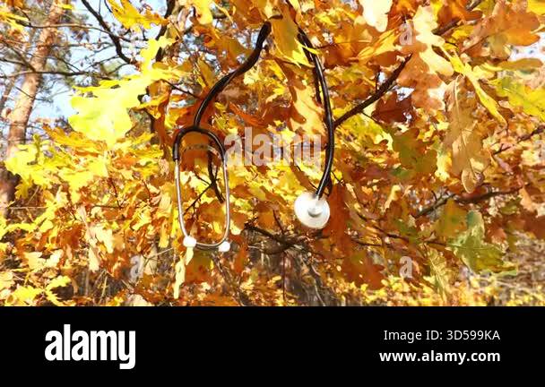 Autumn and winter period. The concept of taking care of health. A ...