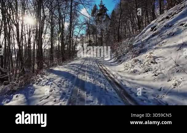 Snowy woodland trail, bright winter landscape featuring snowfilled ...