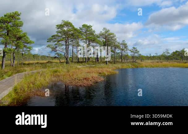 Female hiker on trail in northern forest by small lake in autumn with ...
