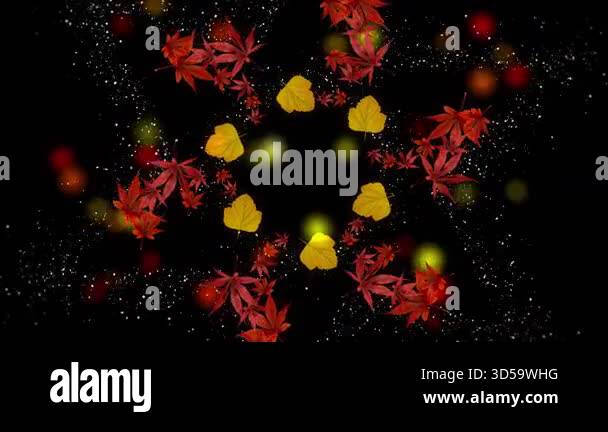 Autumn season scene opener animation with autumn colored leaves, bokeh ...