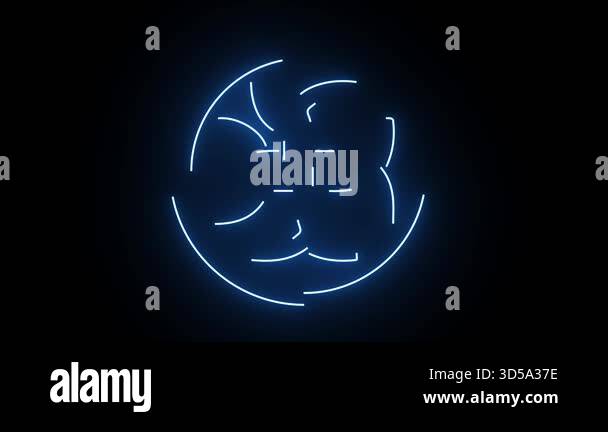 Beautiful flower animation video and luxury floral design Stock Video ...