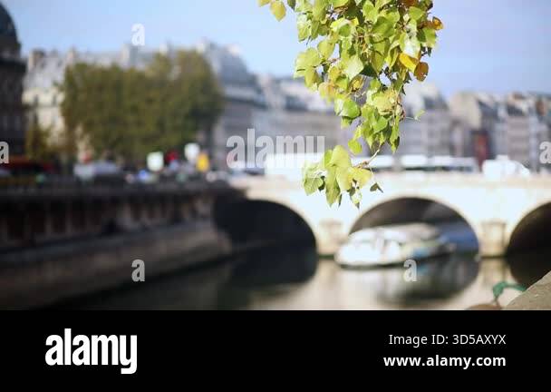 PARIS, FRANCE - OCTOBER 20, 2025: Sunny day in Paris with green leaves ...