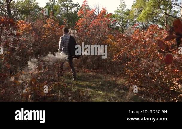 Back view of a man walking through dense autumn forest, gently pushing ...