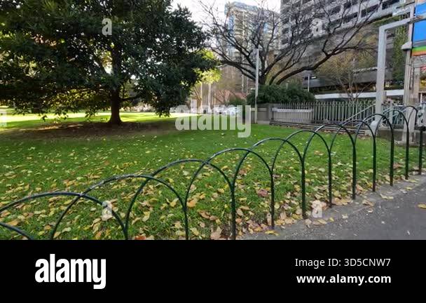 People walking in a leafy Melbourne park Stock Video Footage - Alamy