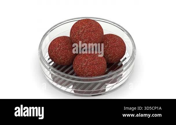 brown laddu in decorative glass bowl Stock Video Footage - Alamy