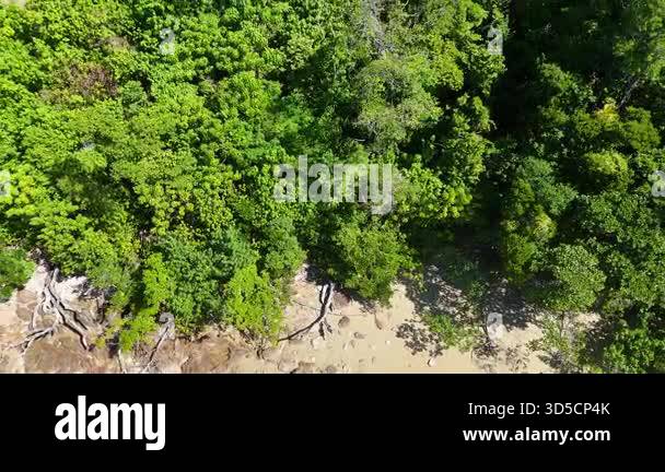 Aerial drone footage moves inland from a sandy tropical beach into ...