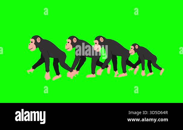 Side view of a group of chimpanzees walking, likely a family, on green ...